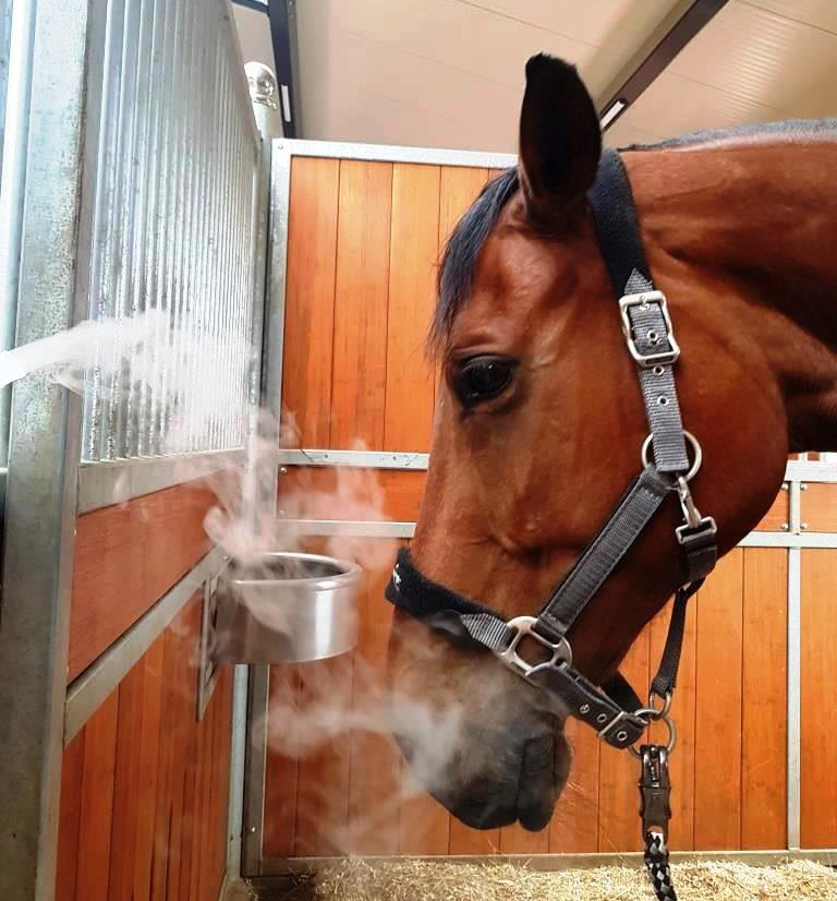 Preise - HorseAir Pferde Inhalations Lösungen | bei Atemwegserkrankungen
