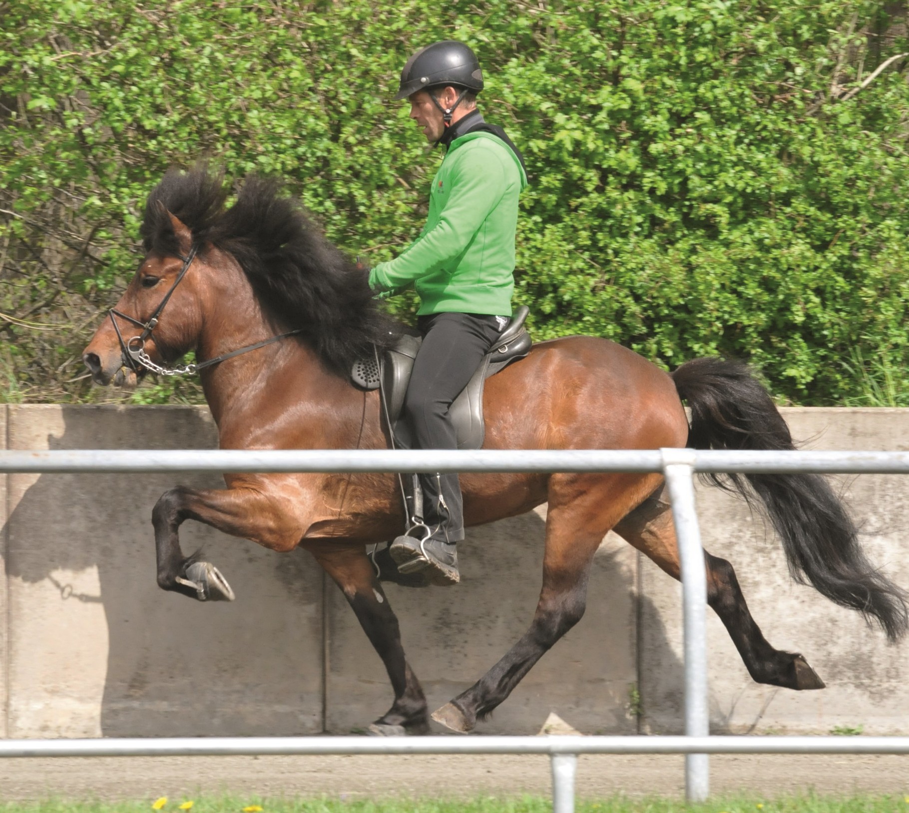 Beurteilung - Galsi von Faxaból