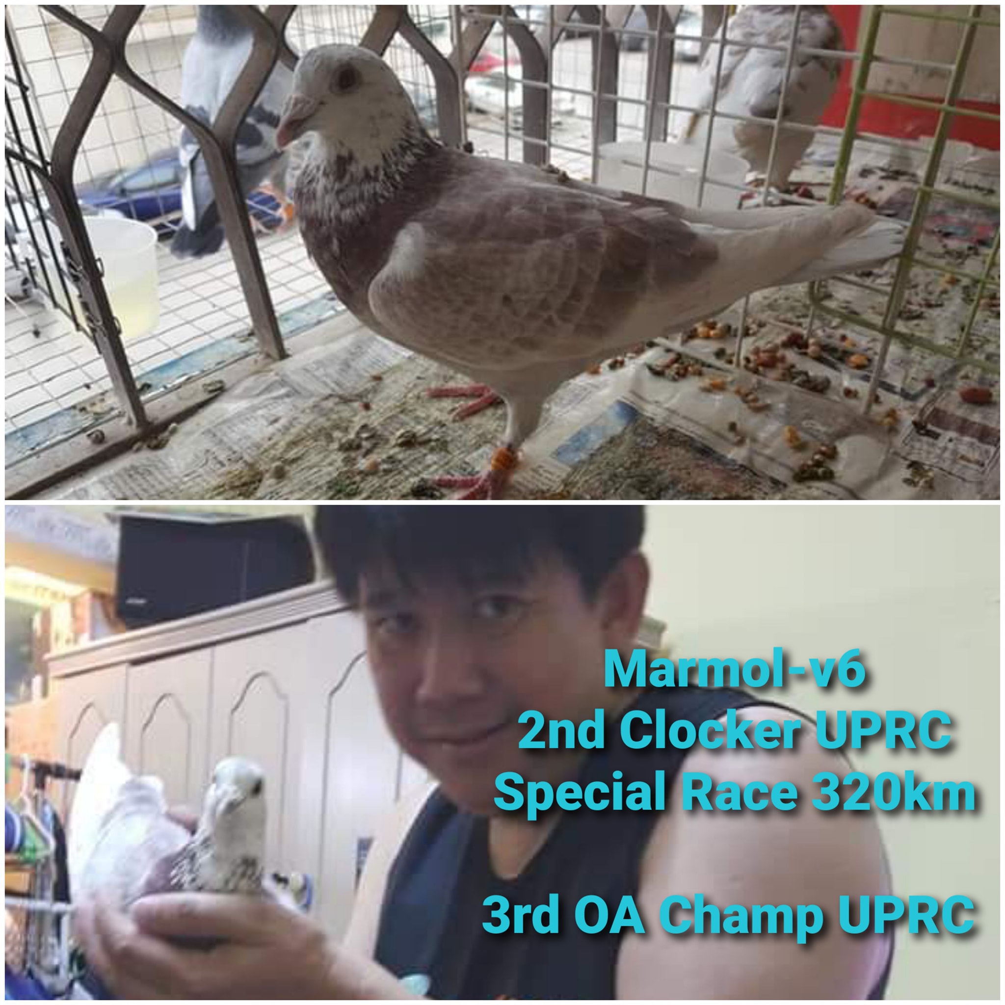 UPRC CLUB RIYADH - websterloft.jimdo page!