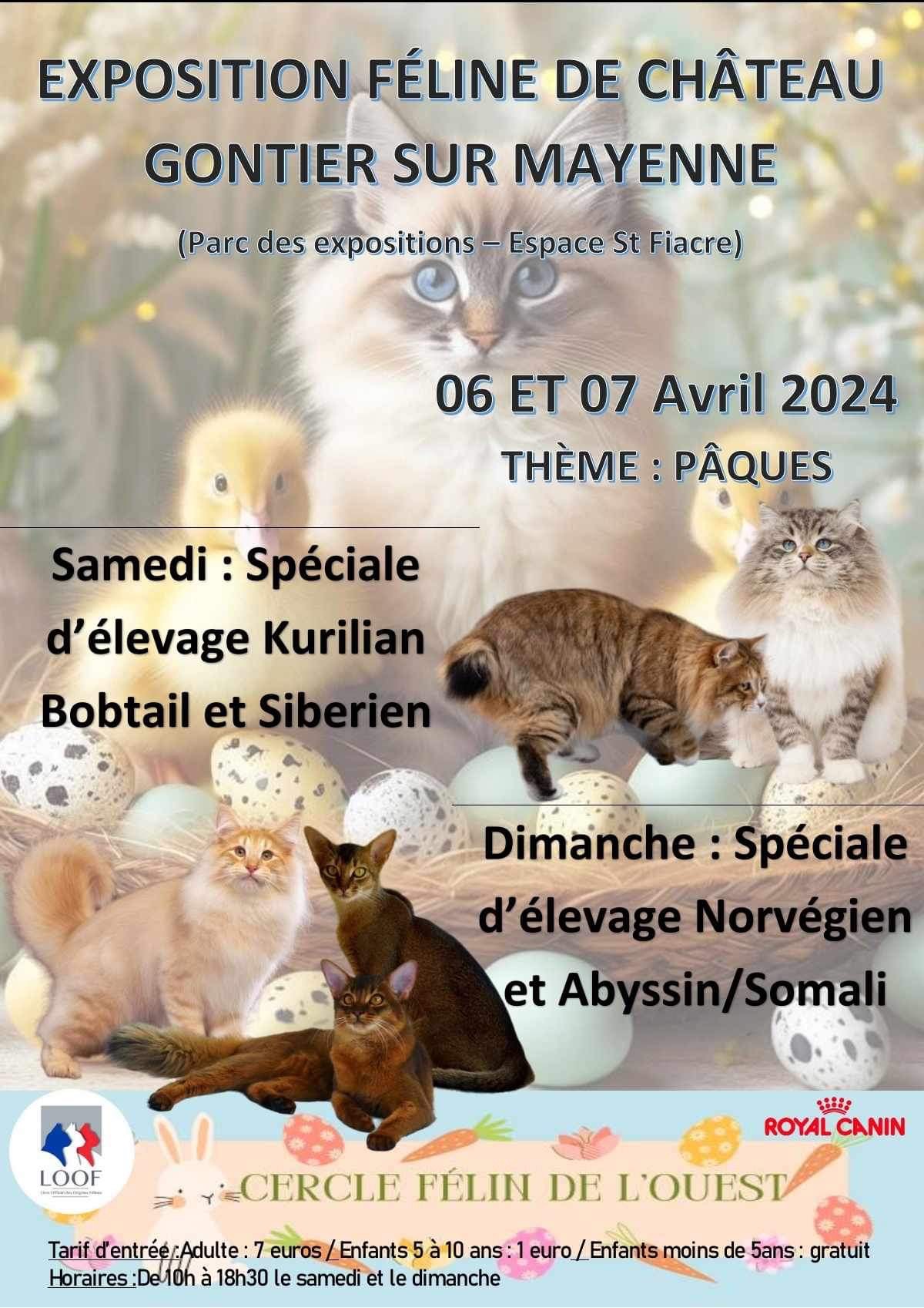 CHÂTEAU-GONTIER/MAYENNE (53) - CFO