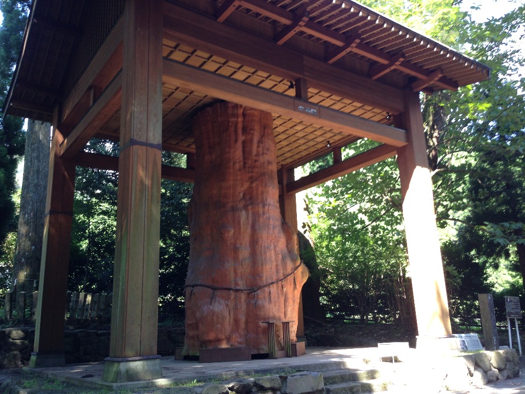 aso shrine - Mount Aso Kumamoto Japan