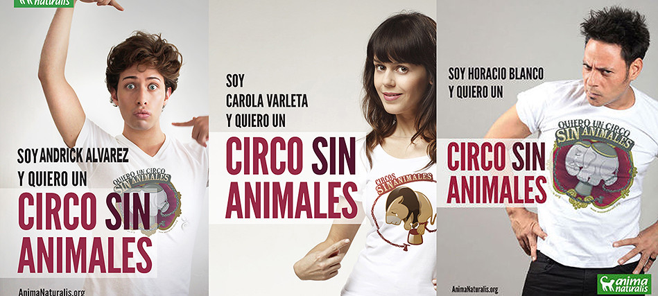 CIRCO SIN ANIMALES - Andrick Alvarez Pagina Oficial