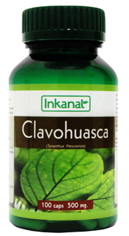 Clavo Huasca (Tynanthus Panurensis) - Yauvana Peru Lima productos ...