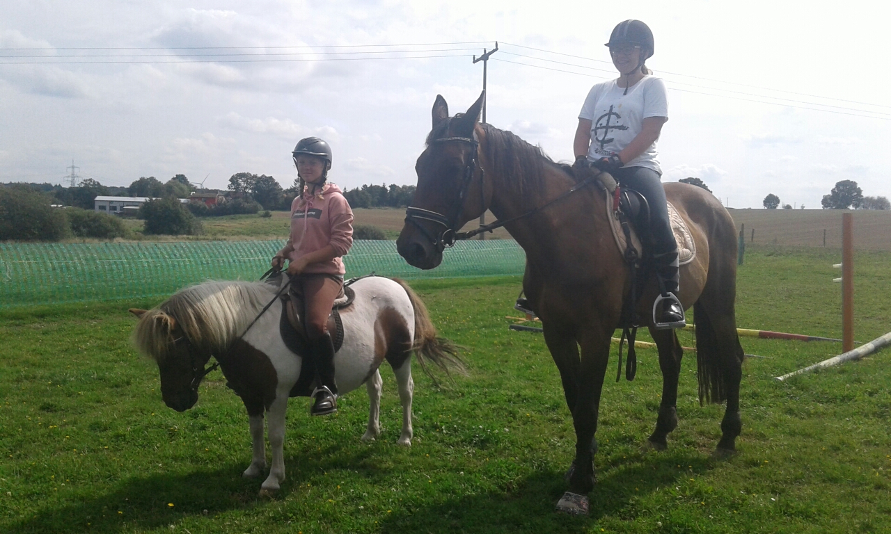 Reiten lernen - pferdewelt-css Webseite!