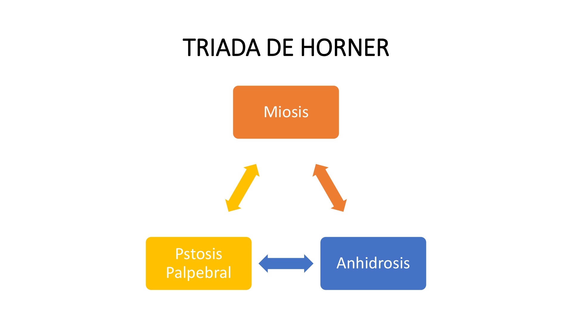 Triadas Medicina Interna - Página web de pseudomonas
