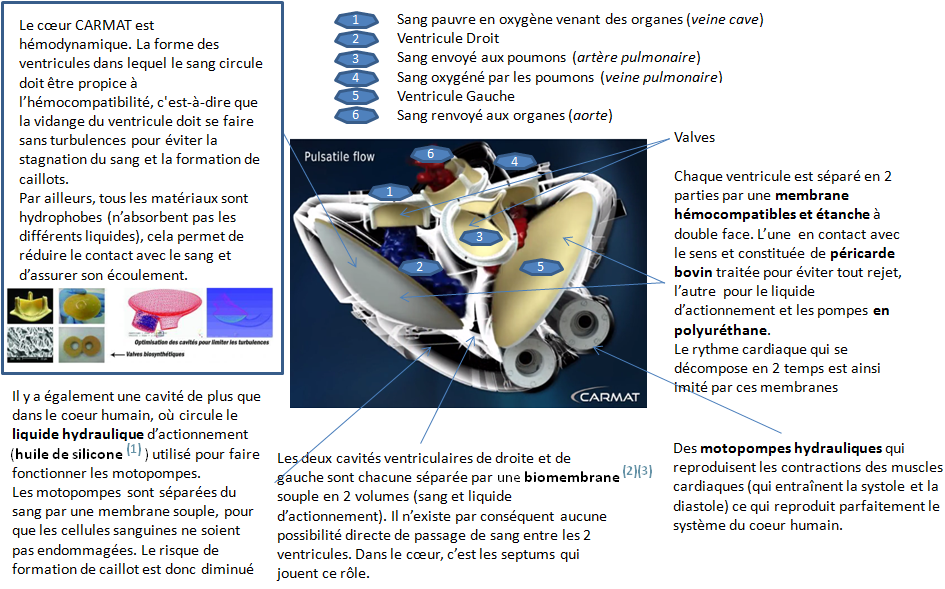 Composition du cœur CARMAT - TPE coeur CARMAT artificiel - 2016 Paul et ...