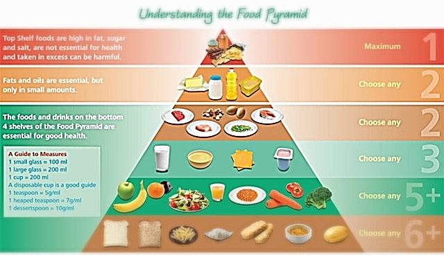 the food pyramid - studiandosulweb.jimdo.com