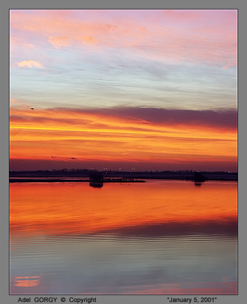 "Flower Moon" poem by LEWIS TURCO, U.S.A. - Fine Art Photo by ADEL ...