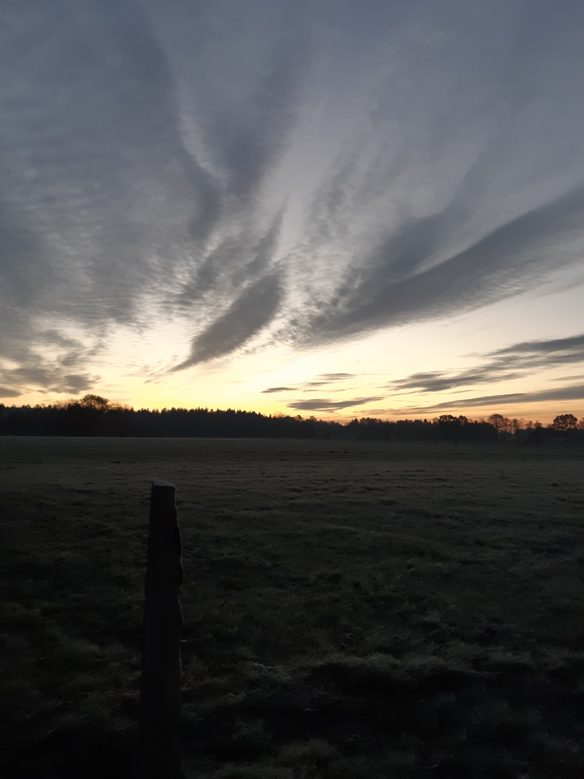 Fipsi Will Auch Mit Zum Weihnachtsmarkt - Handgemachte Stoffpuppen ...