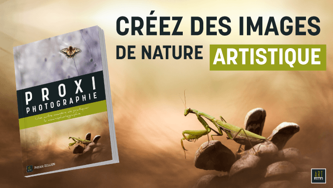 photographe macrophotographie nature - Patrick Goujon-photographe ...