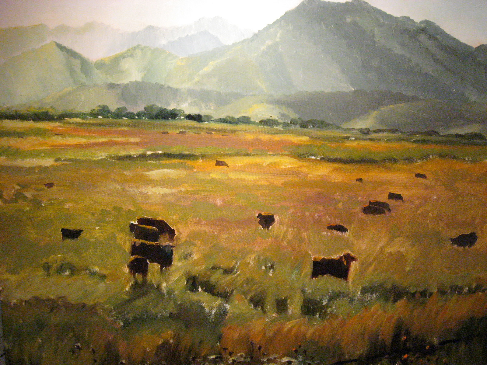 Heber oil paintings - carriecallart
