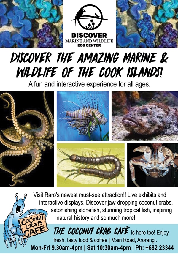 15 affordable activities to do in Rarotonga - See Cook Islands