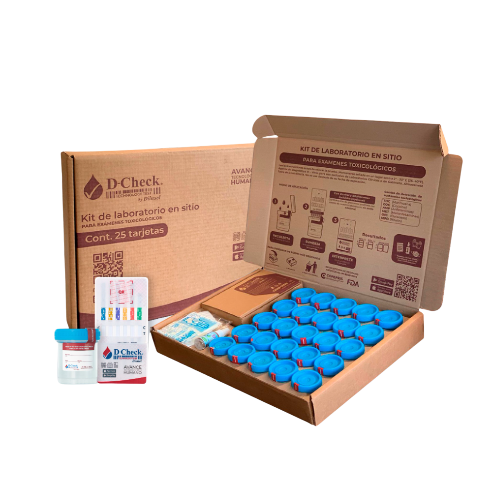 D- Check - Página web de dirlabbajio