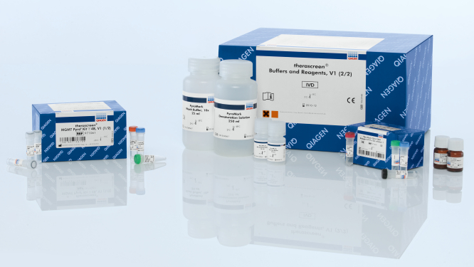 MGMT glioblastoma epigenetic diagnostics test - Epigenetic market to ...