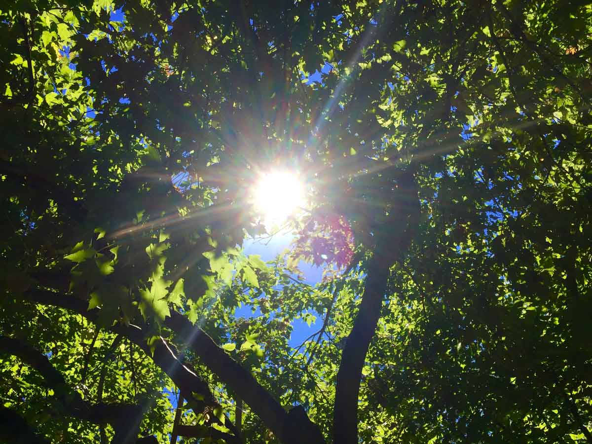 Energiearbeit - Beziehungs-Atelier Alexandra Heine in Bispingen