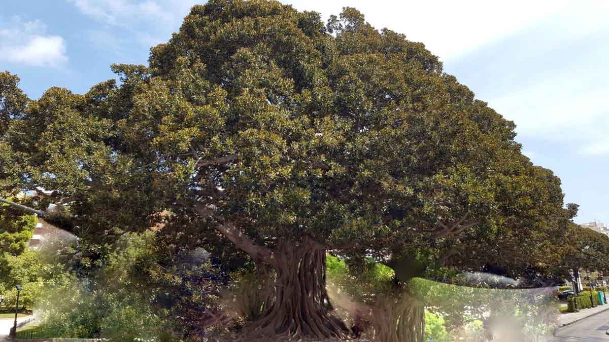 Impressum - Beziehungs-Atelier Alexandra Heine in Bispingen