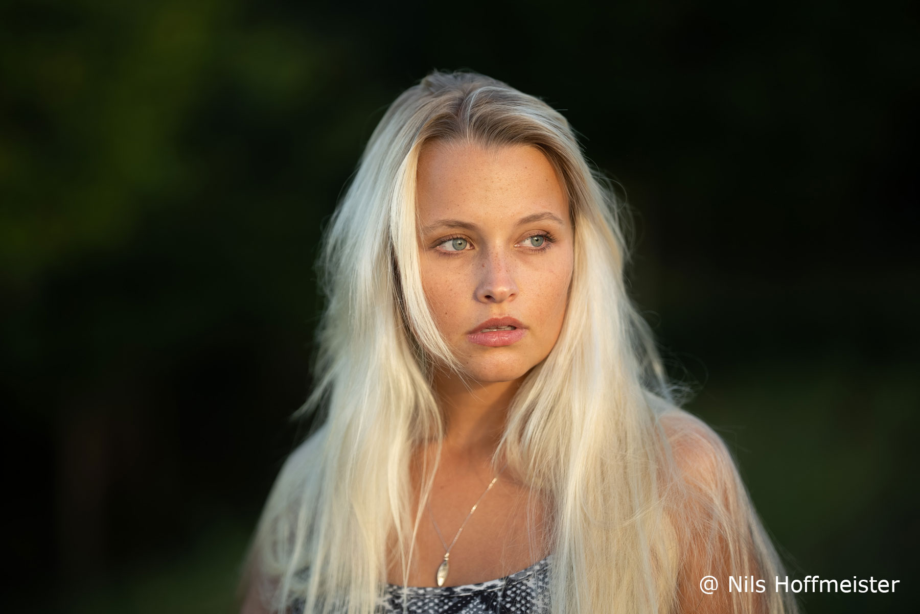 Vita - enna-lunas Webseite!