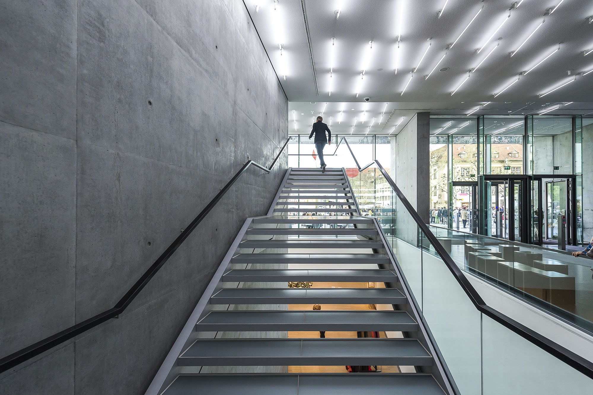 Verein - aed e.V. Stuttgart