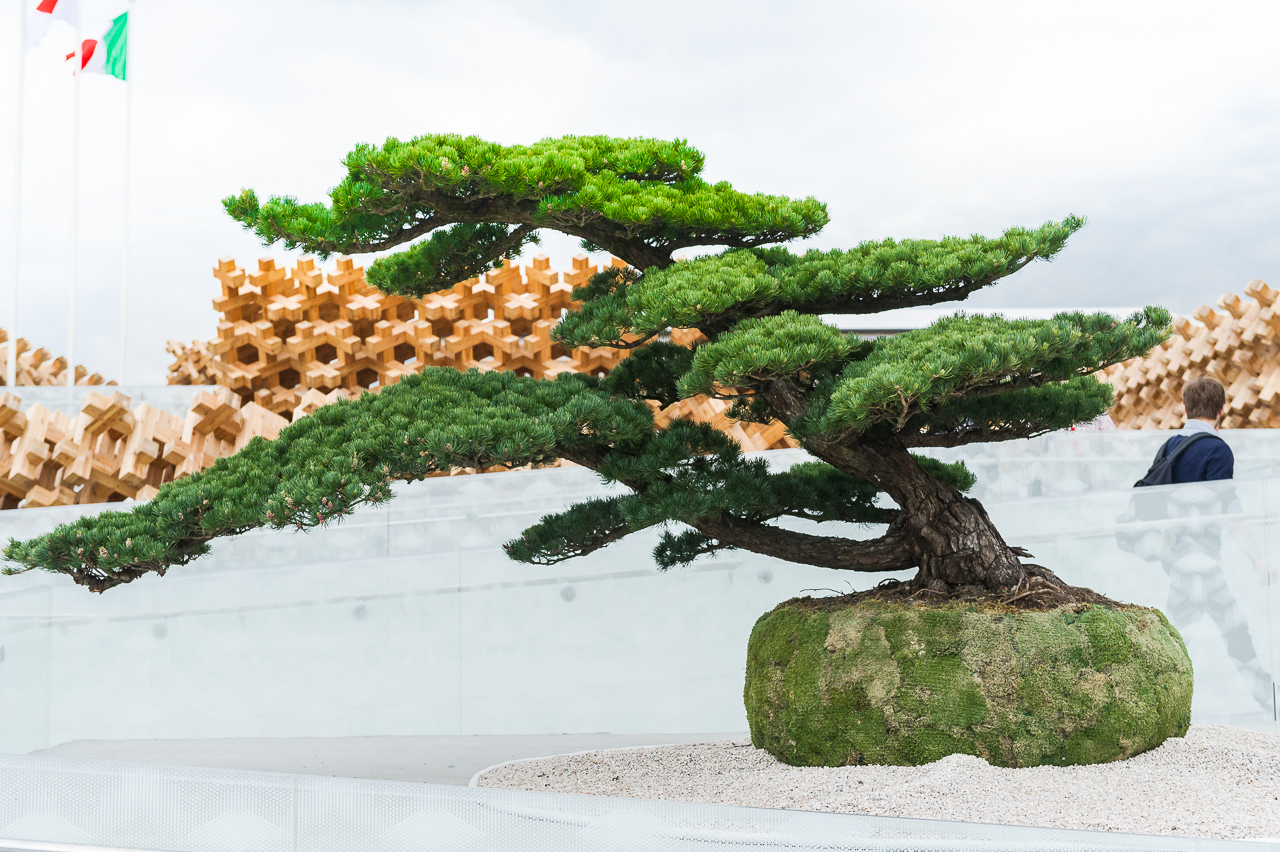 Insidertipps Archiv - aed e.V. Stuttgart