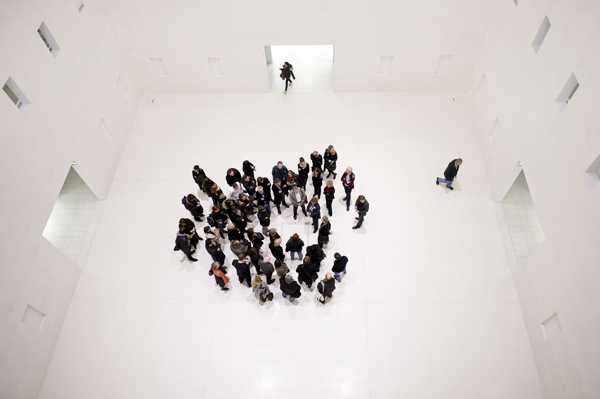 Verein - aed e.V. Stuttgart