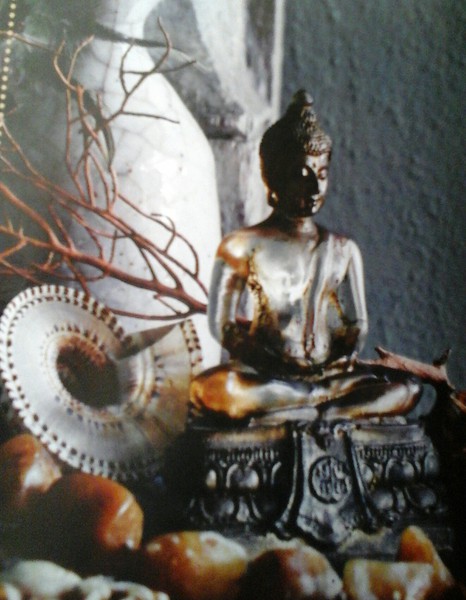 Der Weg zum Lotussitz पद्मासन padmāsana - Birgitt Held