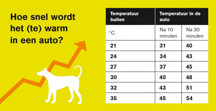 Oververhitting? - 6 symptomen van een te warme hond - Lindaschrijfthetop.nl
