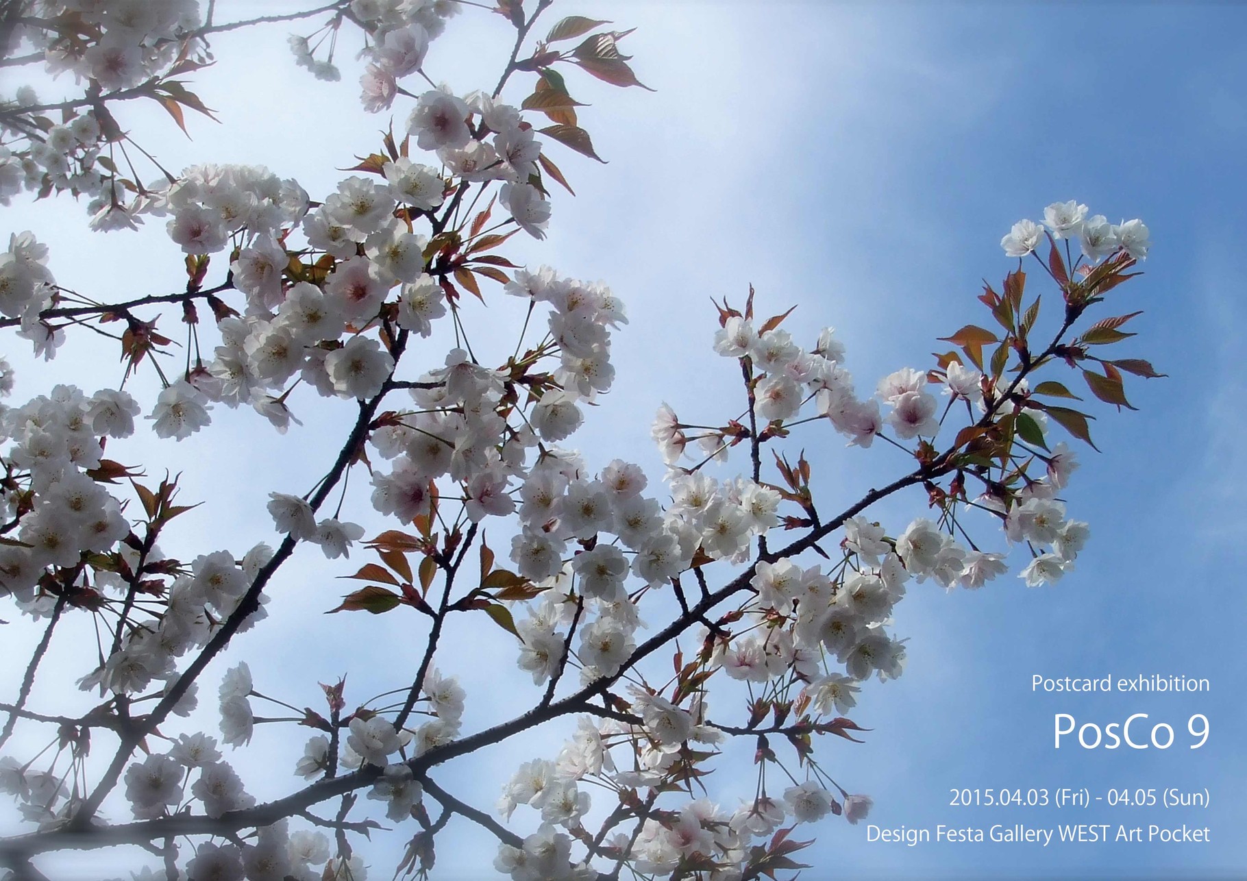 PosCo 9 - PosCo