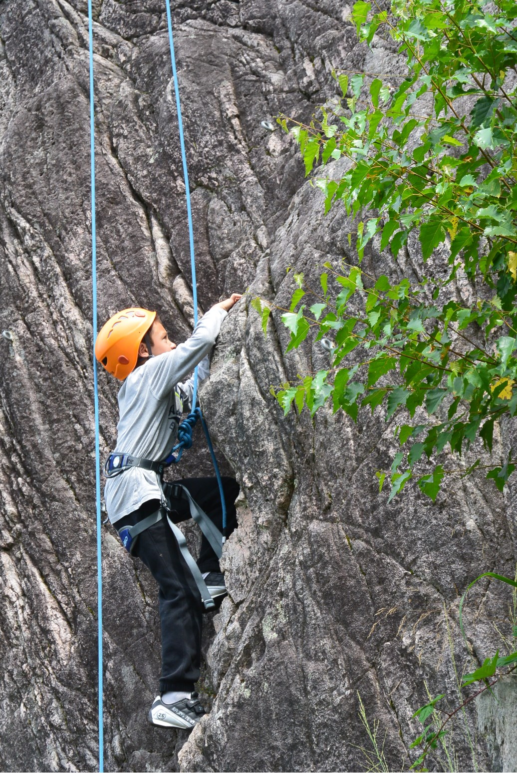 Escalade adaptée - 22 juillet 2016 - Club Alpin Hautes Vosges