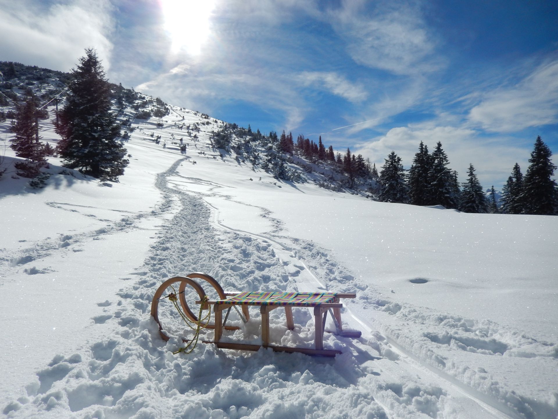 Bild Schlitten Einsamer Schlitten Winter - AusmalbilderFurKinder.de