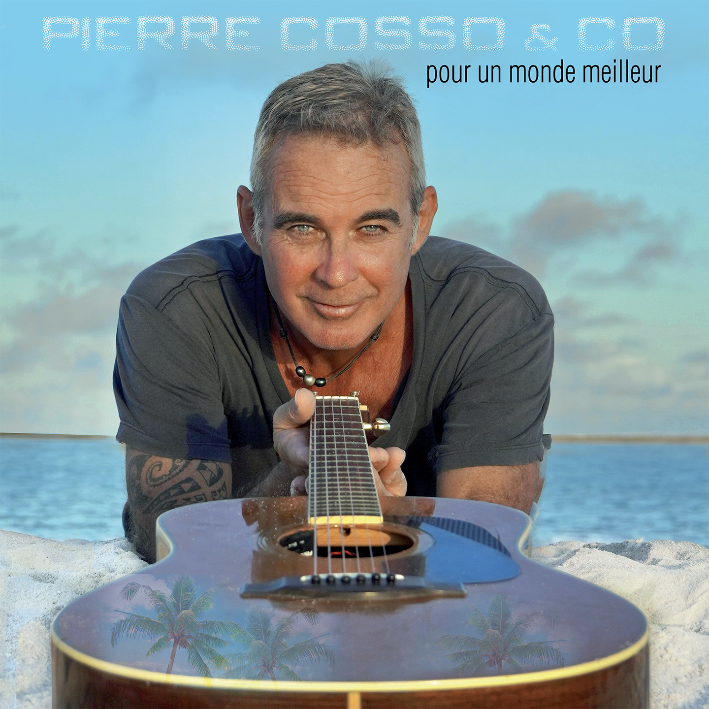 PIERRE COSSO - Site de ducosphere
