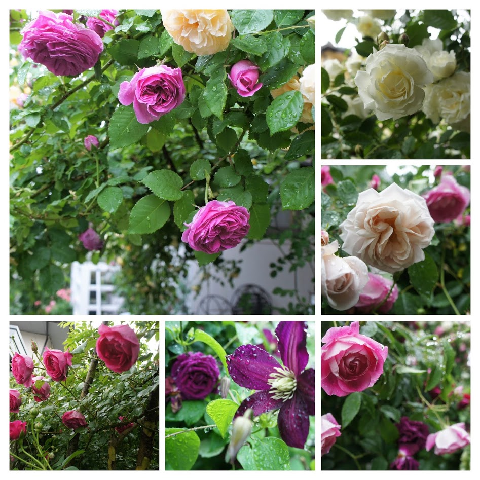 ホーム - w-rose-provance ページ！