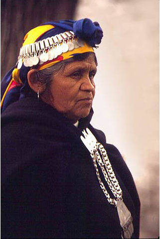 CULTURA MAPUCHE - Página web de profesoramariavillagran