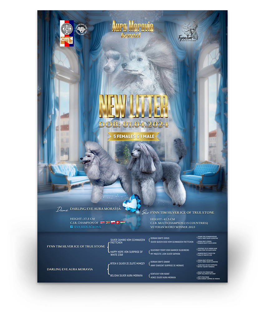 ADVERTISING WITH ANIMALS - PR & Design Studio LA BEAUTY