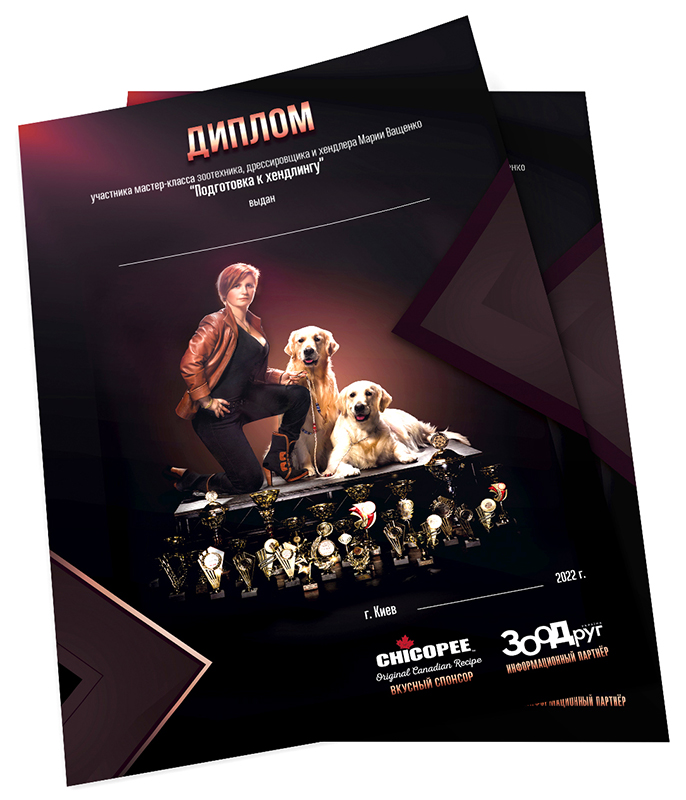 Certificates & Diplomas - PR & Design Studio LA BEAUTY