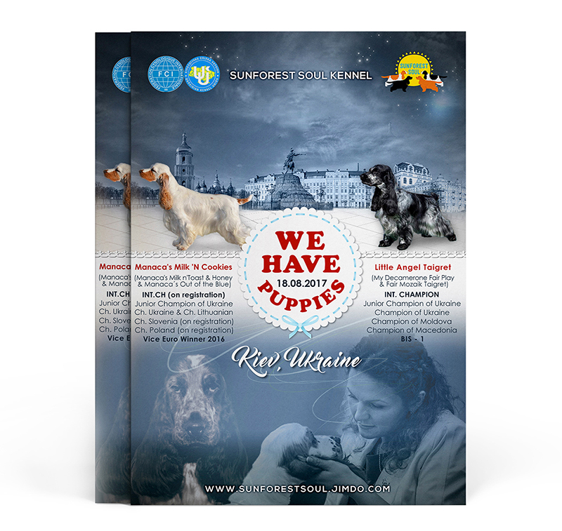 ADVERTISING WITH ANIMALS - PR & Design Studio LA BEAUTY