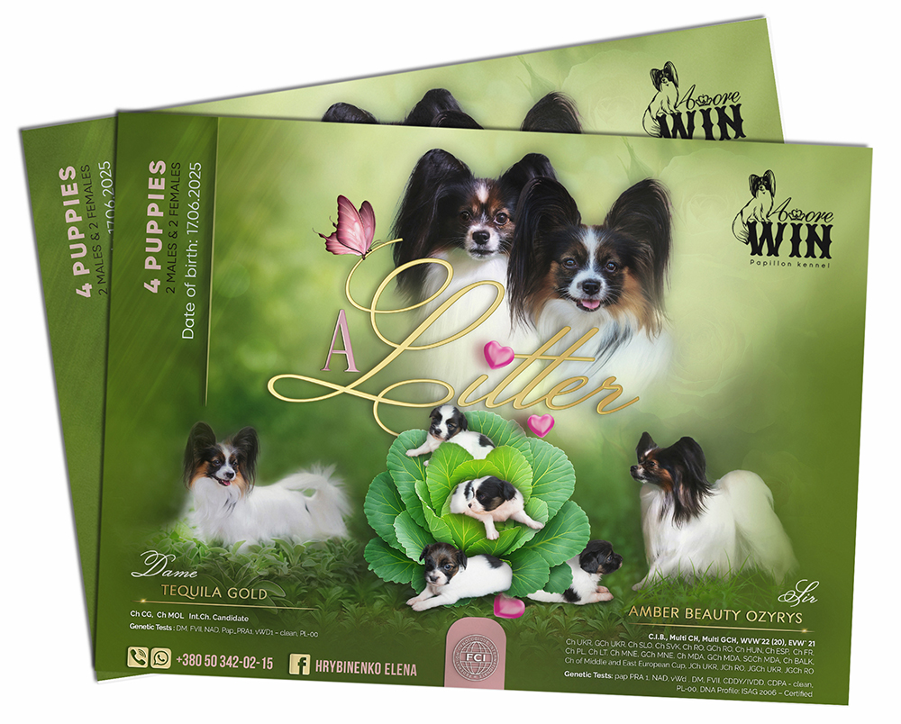 ADVERTISING WITH ANIMALS - PR & Design Studio LA BEAUTY