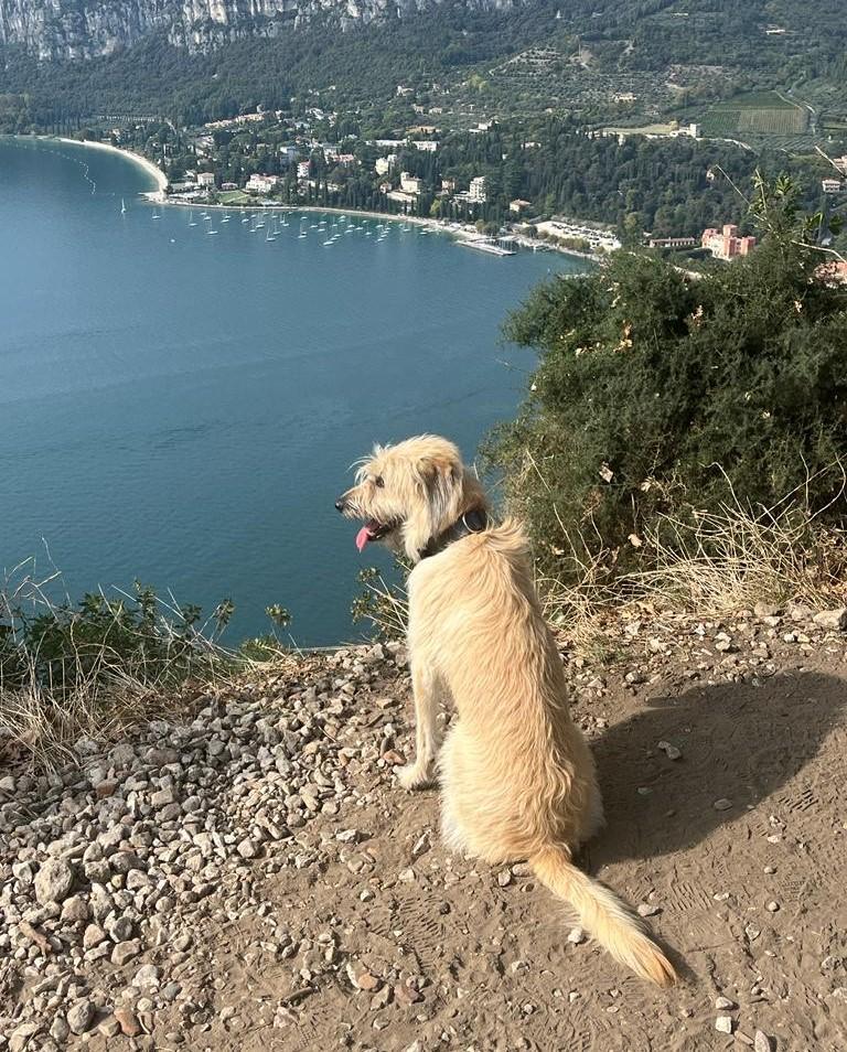 Jayda (weibl., geb. ca. April 2022) - kleiner als ihr Bruder Jay, aber ...