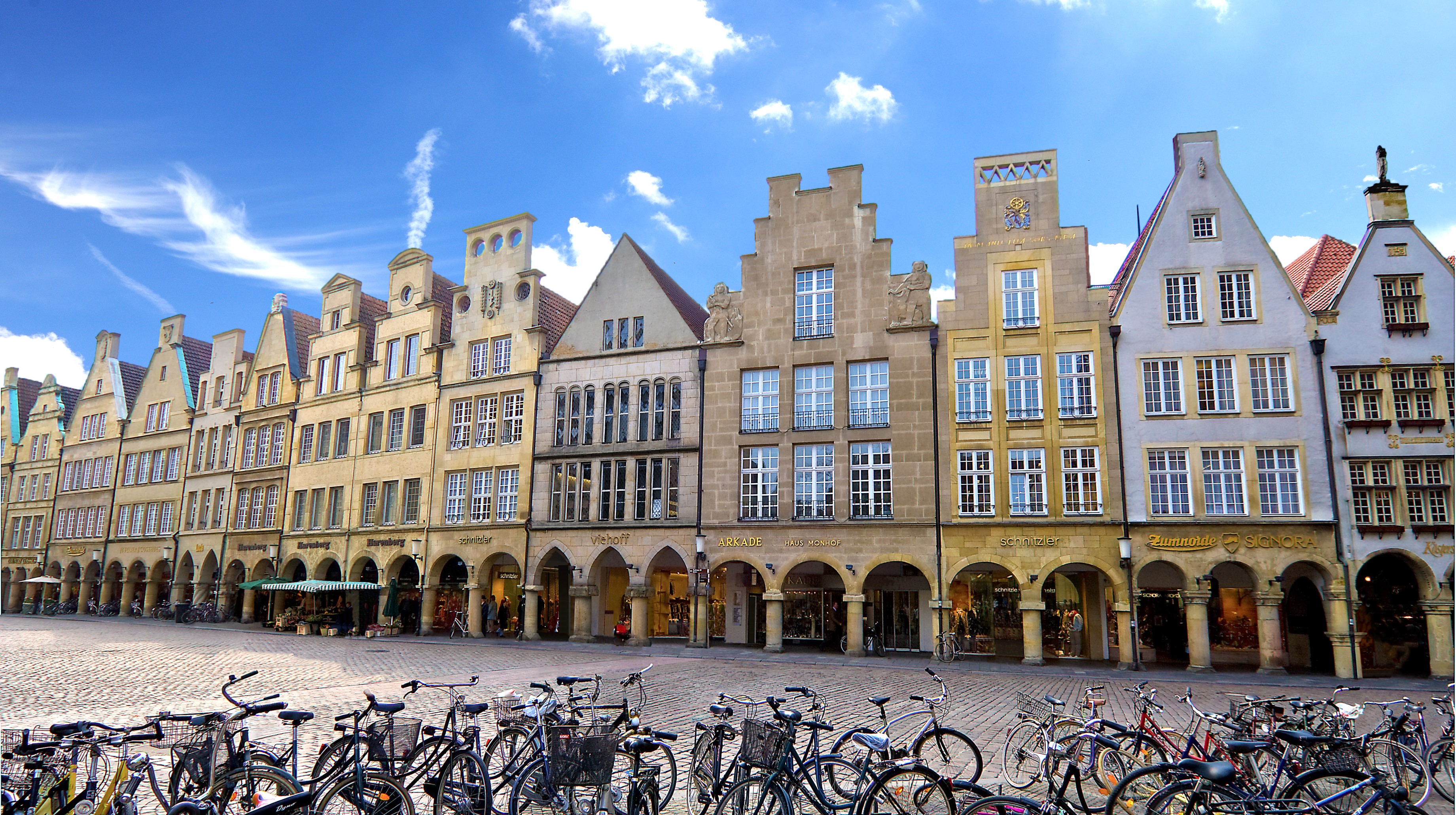 Münster & Land: - münstermitte medienverlag