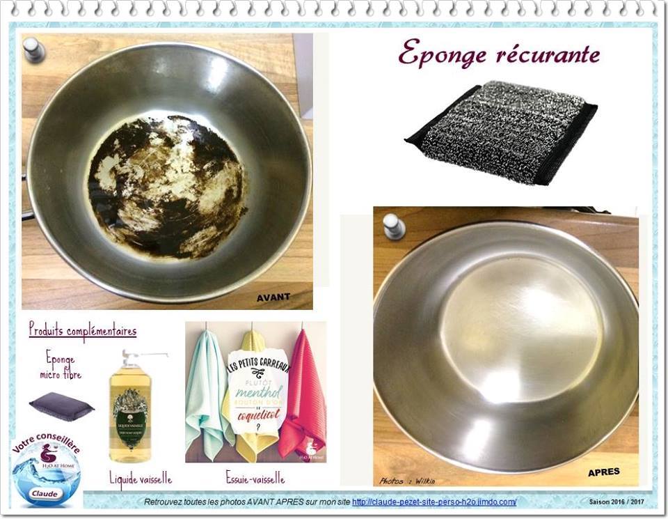 Éponge recurante - Site de cecile-letaillieur-h2o-at-home