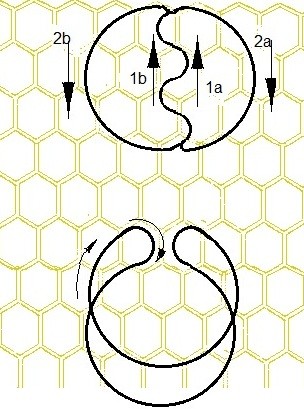 Die Verständigung unter den Bienen - Imkerei Goslar am Steinberg im ...