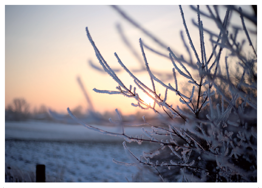 postkarten - Jonathan Auer