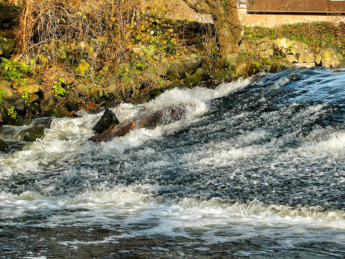 Der schönste Fluss in unserer Heimat - ig-kinzig