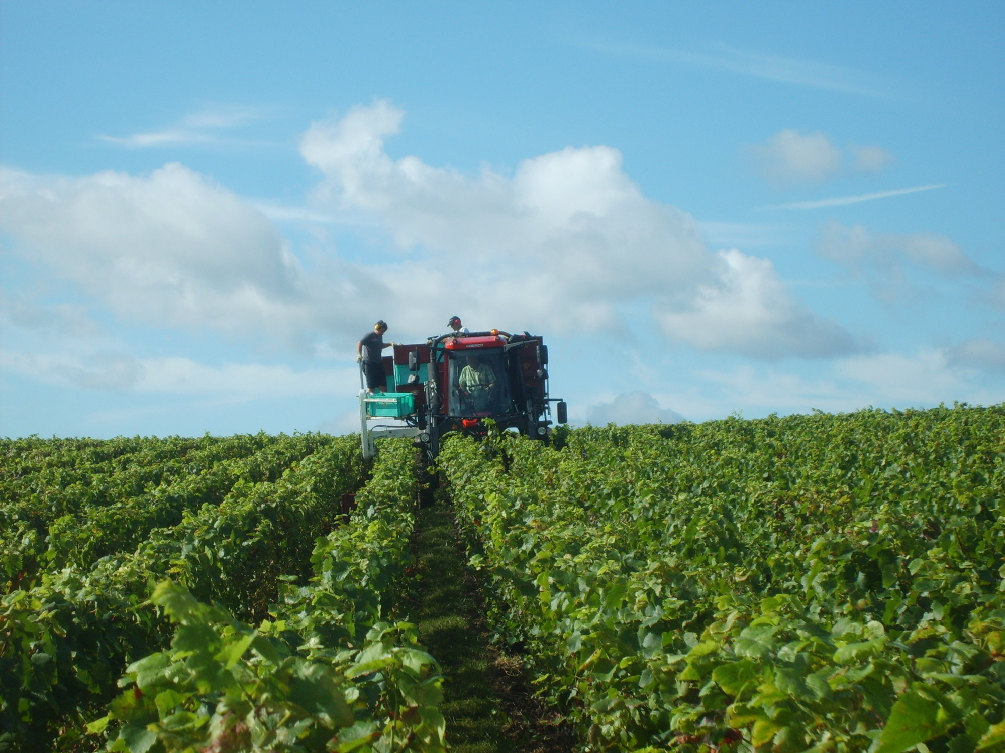 Travail du sol - dans la Marne en Champagne