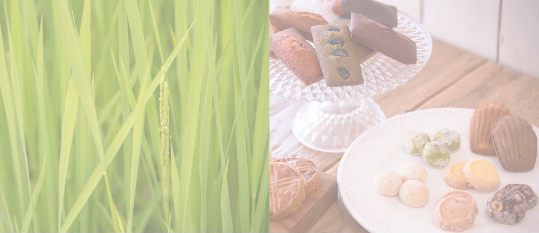 momo farm × kabaco no co - 四季が育んだお米と美味しいおやつ | 栃木県大田原市