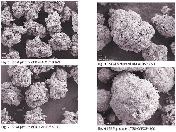 Discover calcium phosphates functionalities in direct compression ...