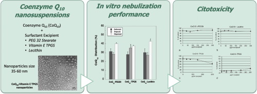 Nebulized coenzyme Q10 nanosuspensions: A pulmonary antioxidant therapy ...