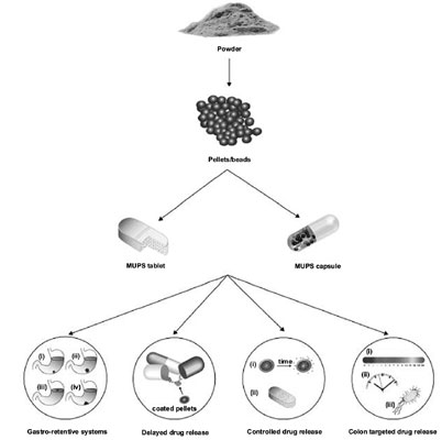 Multiple-Unit Pellet Systems: Production and Applications as Advanced Drug Delivery Systems ...