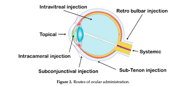 Ophthalmic Drug Delivery Systems for Antibiotherapy - pharma excipients