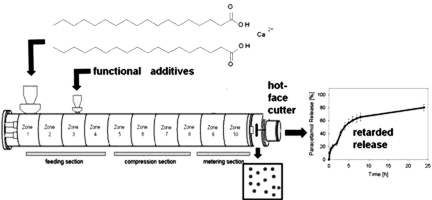 Development of sustained-release lipophilic calcium stearate pellets ...