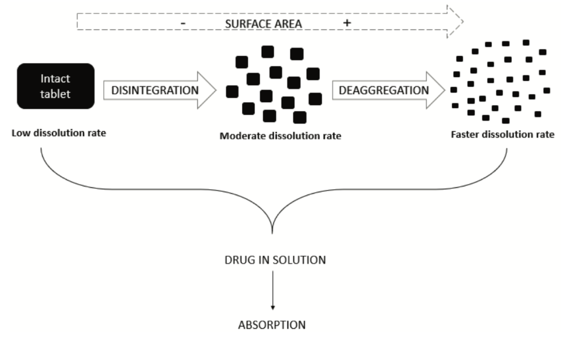 The Significance of Disintegration Testing in Pharmaceutical ...